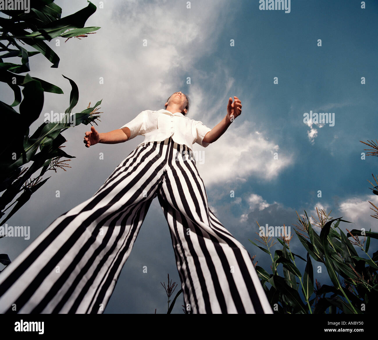 Circus performer on stilts hi-res stock photography and images - Alamy