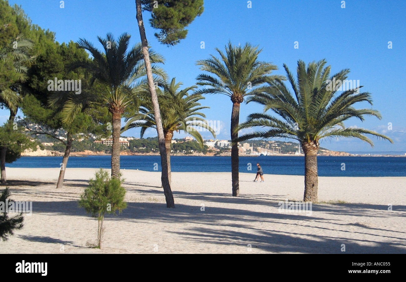 Christmas in Majorca Stock Photo - Alamy
