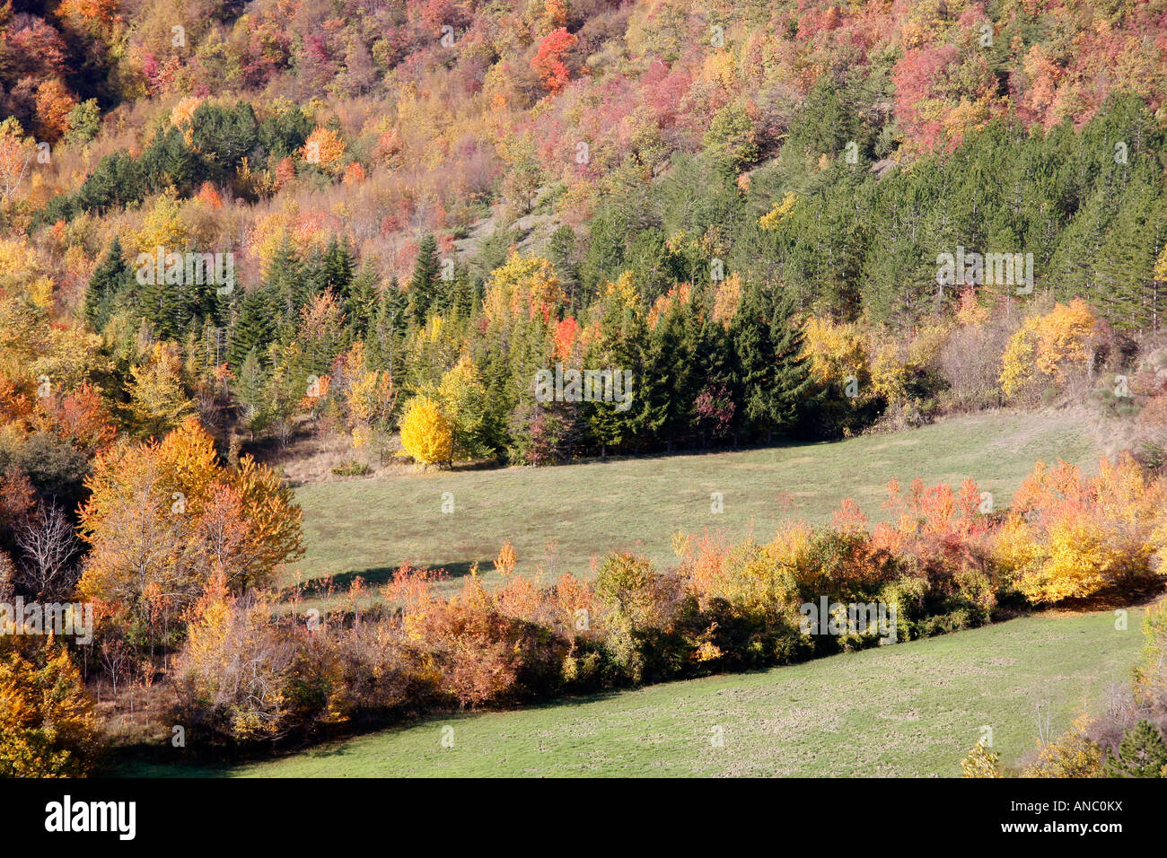 Autumn / Fall foliage colors in the landscape of the Sibillini National ...