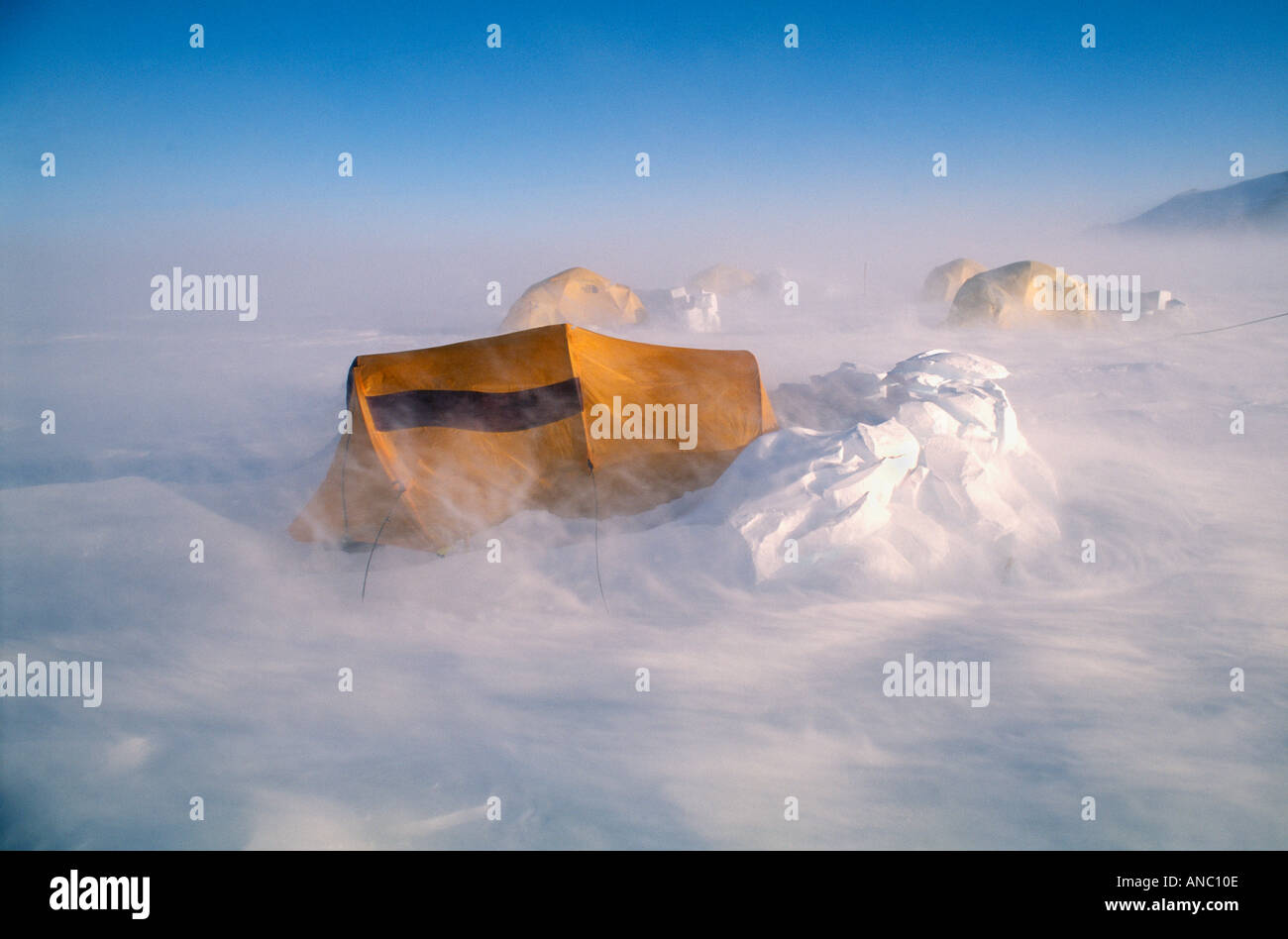 Tent in storm Patriot Hills Antarctica November Stock Photo - Alamy