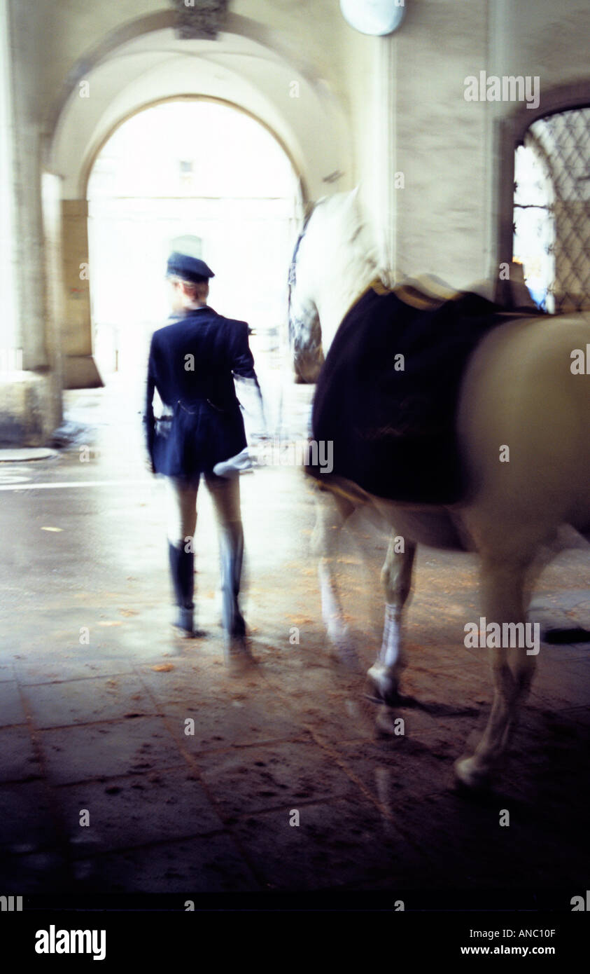 Lipizzaner horse being led into Stables at Spanish Riding School Vienna ...