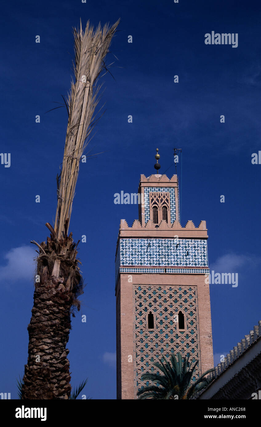 Kasbah Mosque and palm tree Marrakech Stock Photo - Alamy