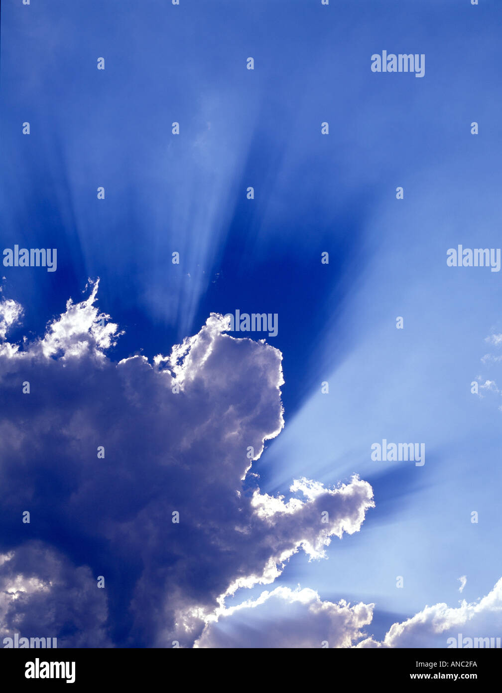 Sunlight streaking hi-res stock photography and images - Alamy