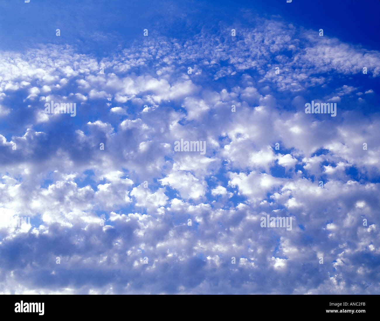 Duncan Reservoir High Resolution Stock Photography and Images - Alamy