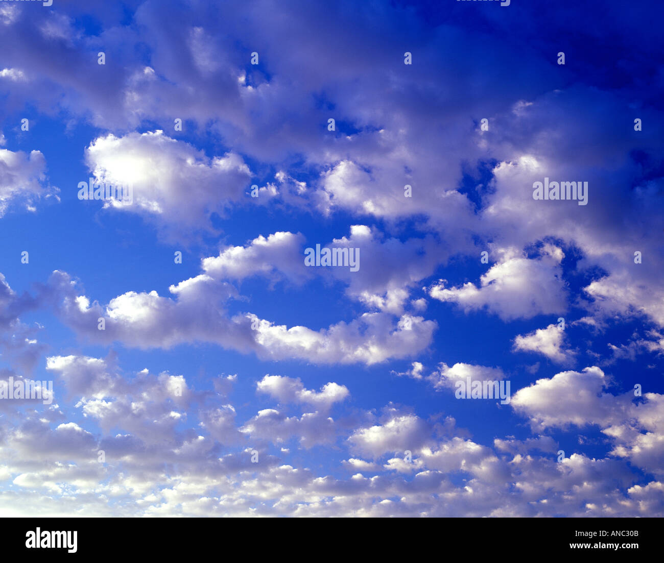 Duncan Reservoir High Resolution Stock Photography and Images - Alamy