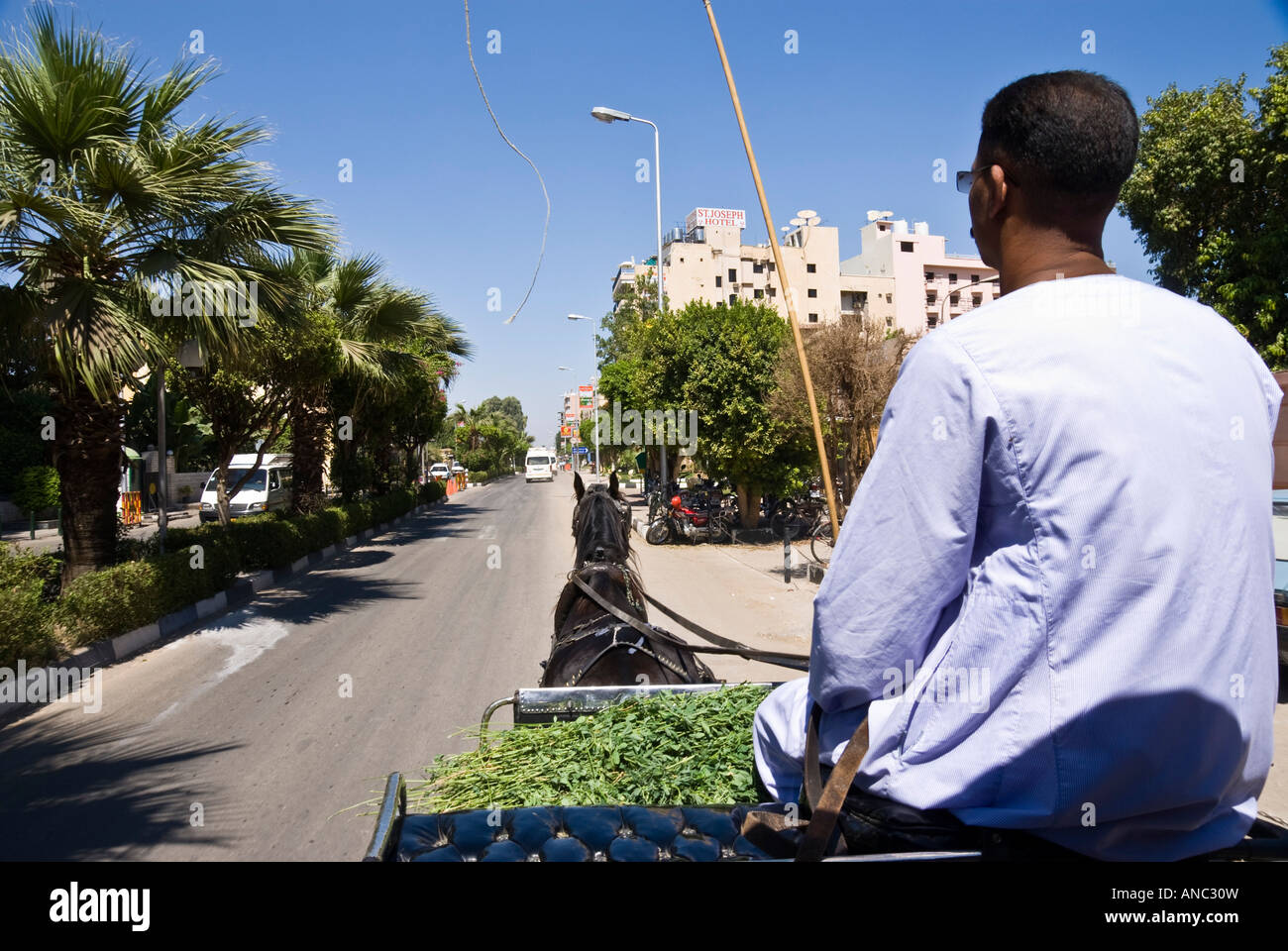 Egypt - horse drawn calishe driving into town Stock Photo - Alamy