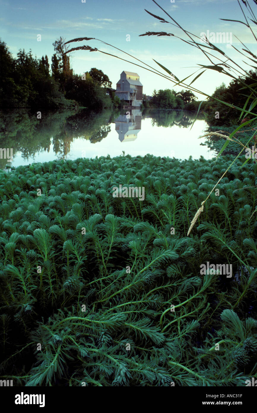 Long tom river hi-res stock photography and images - Alamy