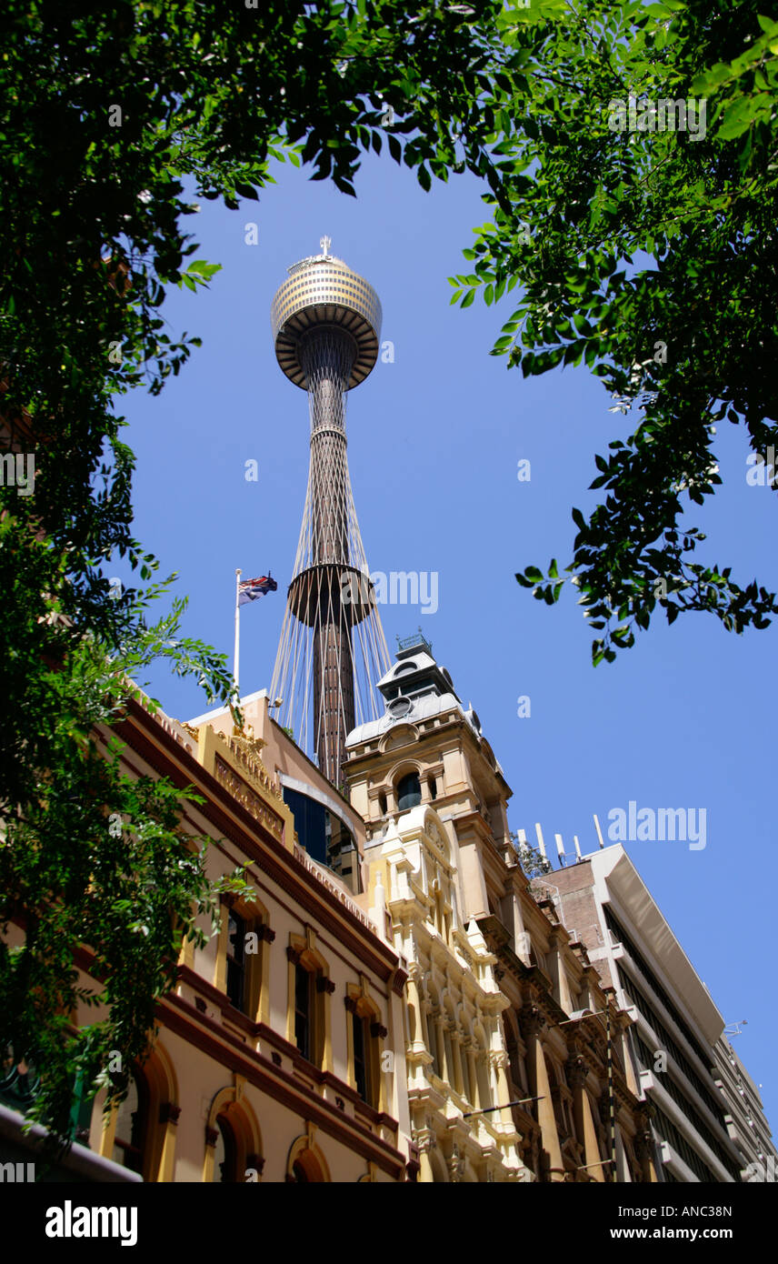 Sydney Tower overlooking old buildings through foliage in Pitt Street ...