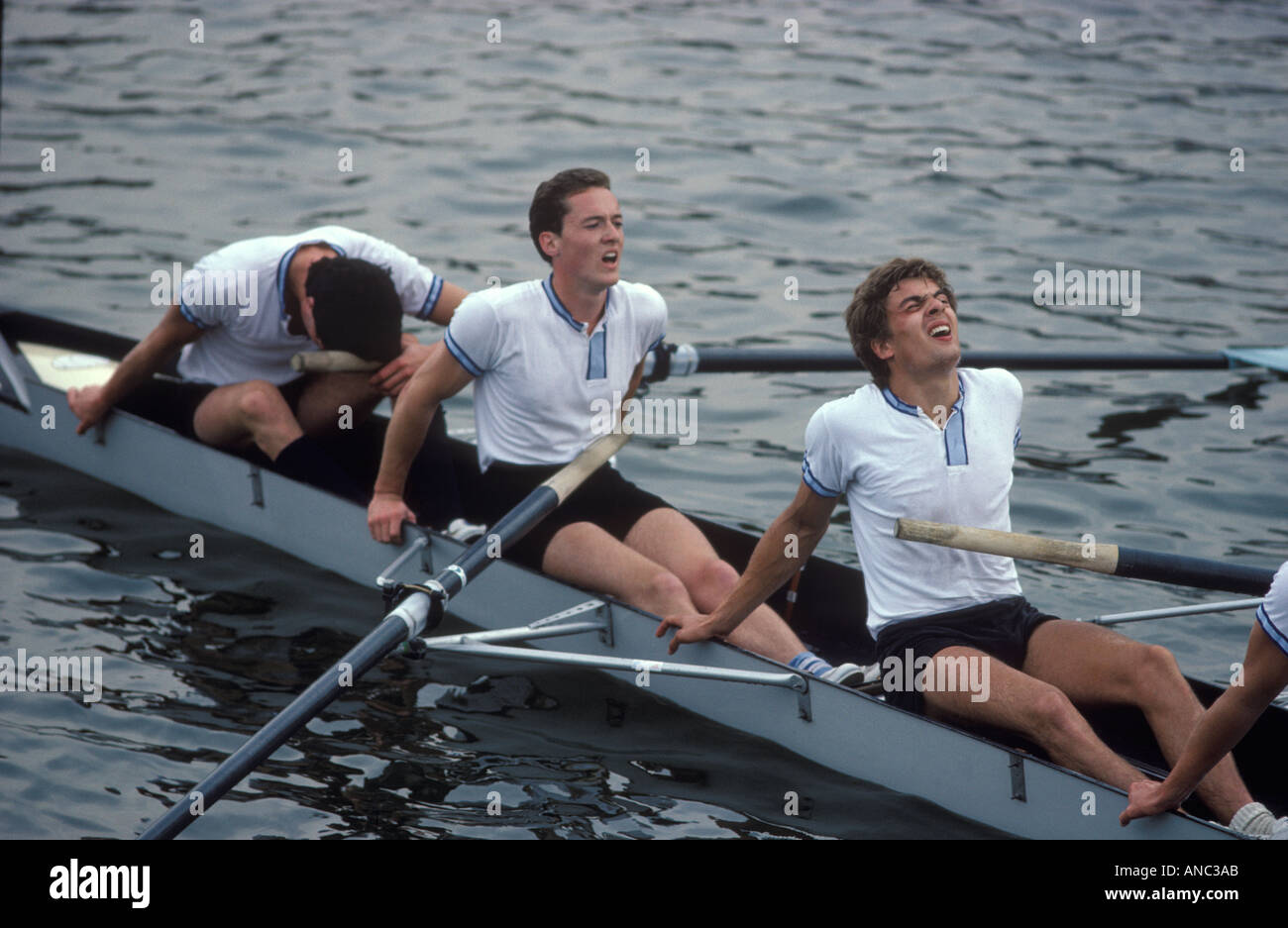 Rowing competitive sport, team members loose race, exhausted, tired ...