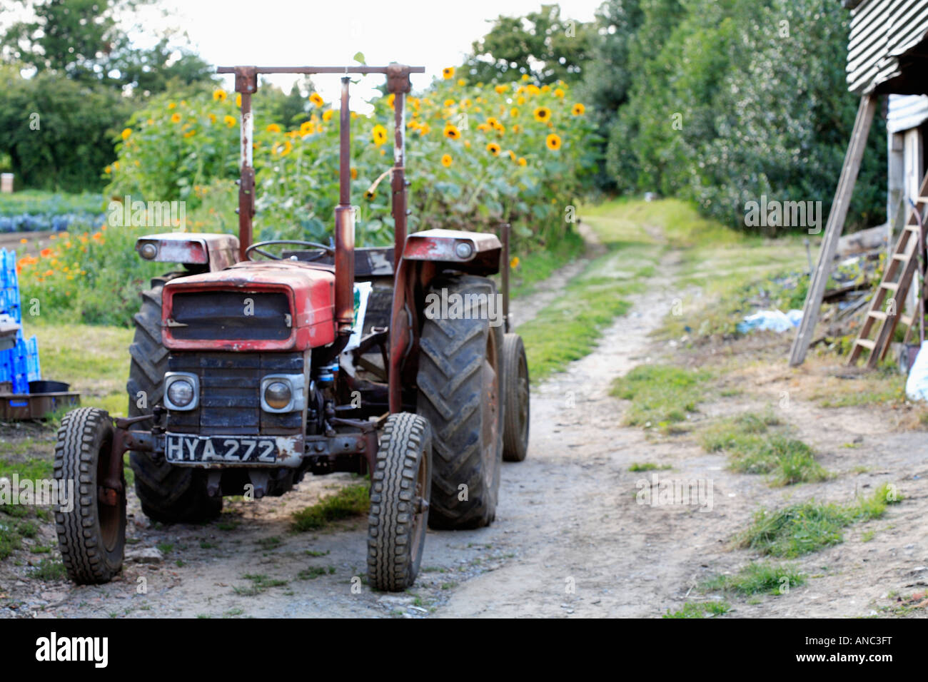 Old red tractor on farm track Stock Photo - Alamy
