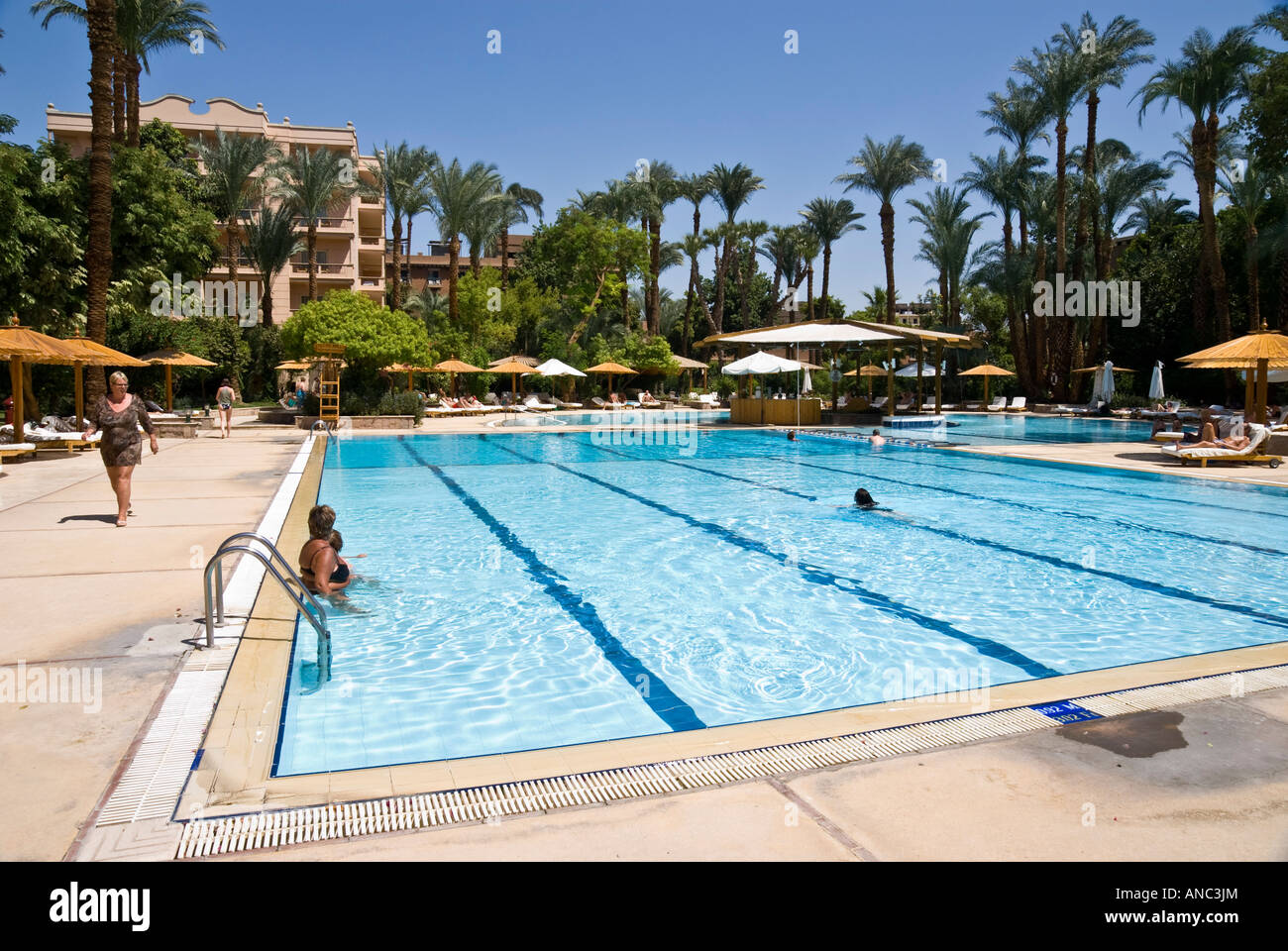Luxor the Winter Palace Hotel grounds swimming pool with apartment ...
