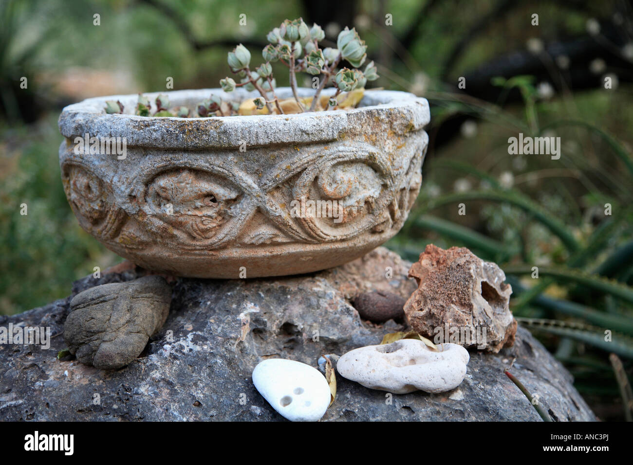 Carved pot hi-res stock photography and images - Alamy