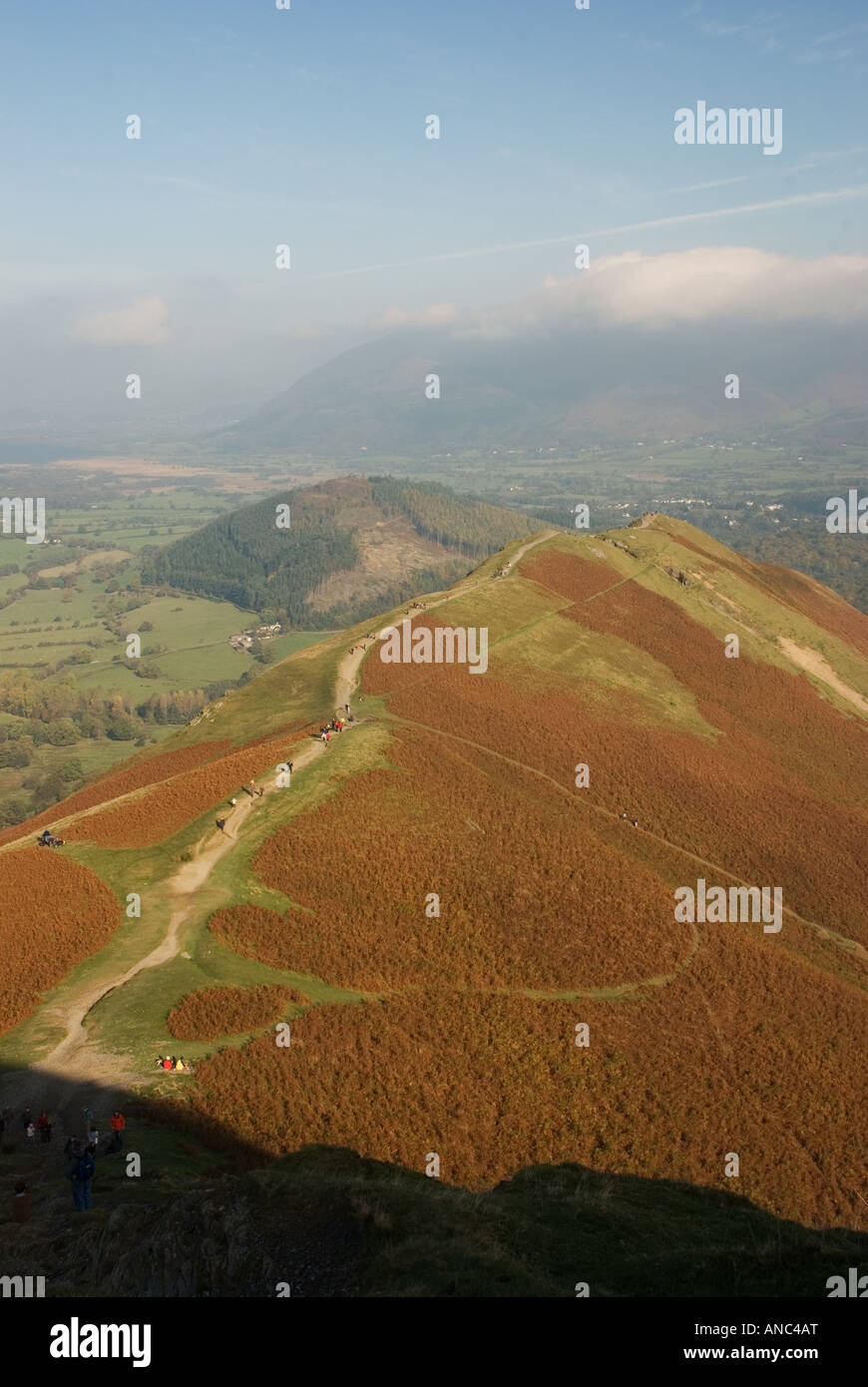 Cat Bells ridge, portrait, Keswick Stock Photo - Alamy