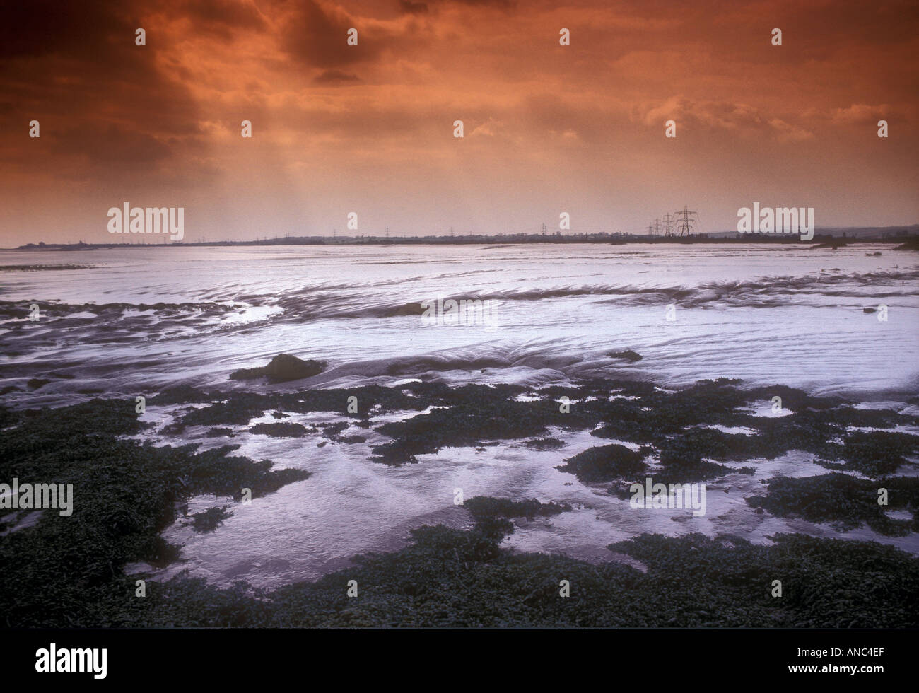Mud flats in Severn estuary with industry in background Beachley Point ...
