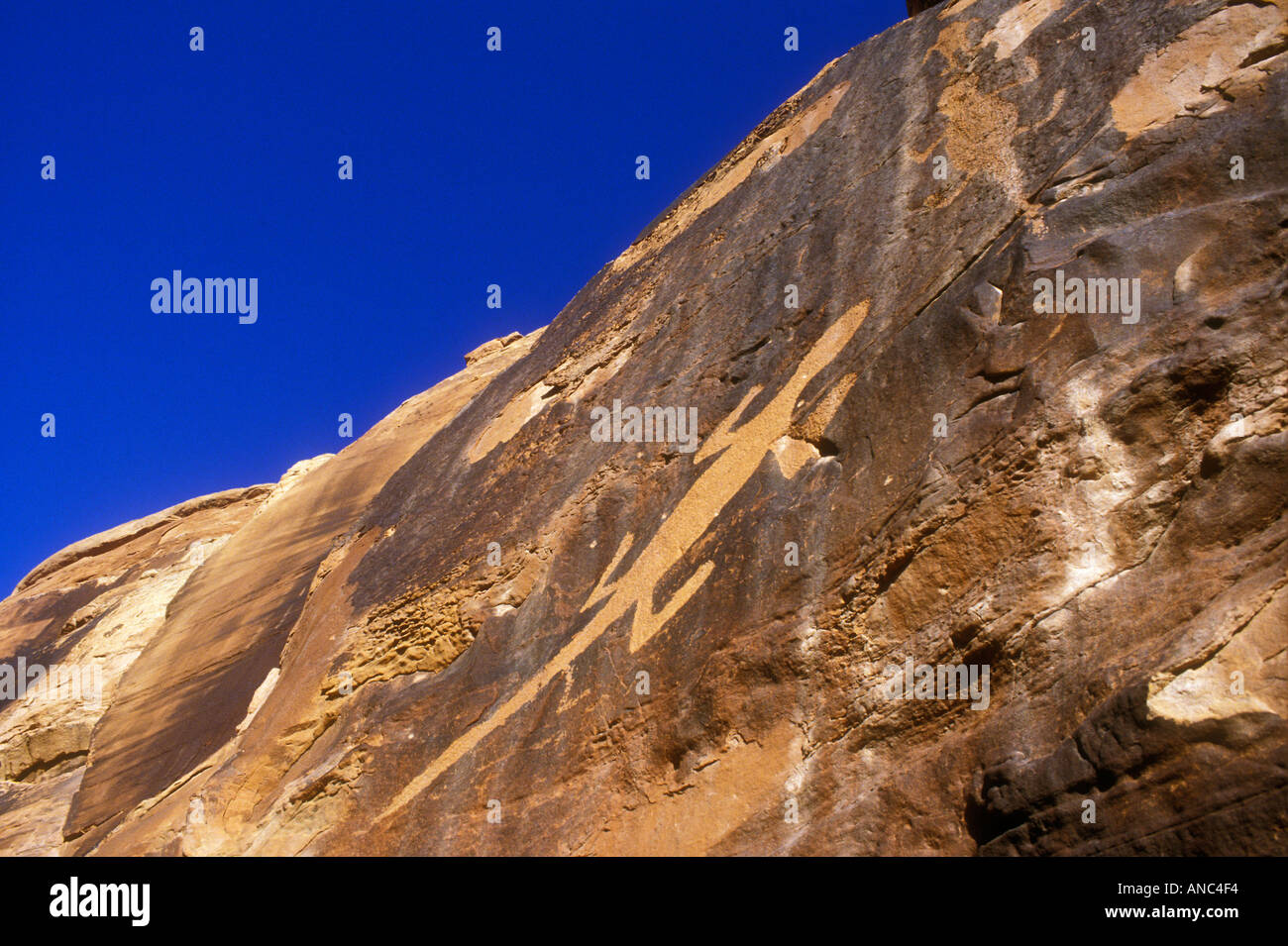 Native American lizard petroglyph Dinosaur national park Colorado USA ...