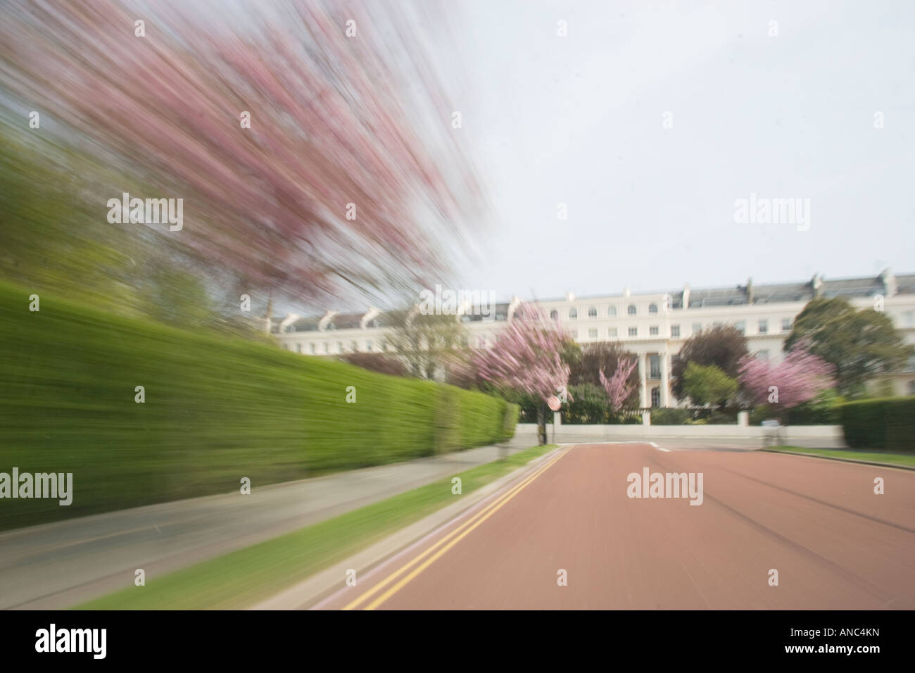 Regents Park in spring Stock Photo - Alamy