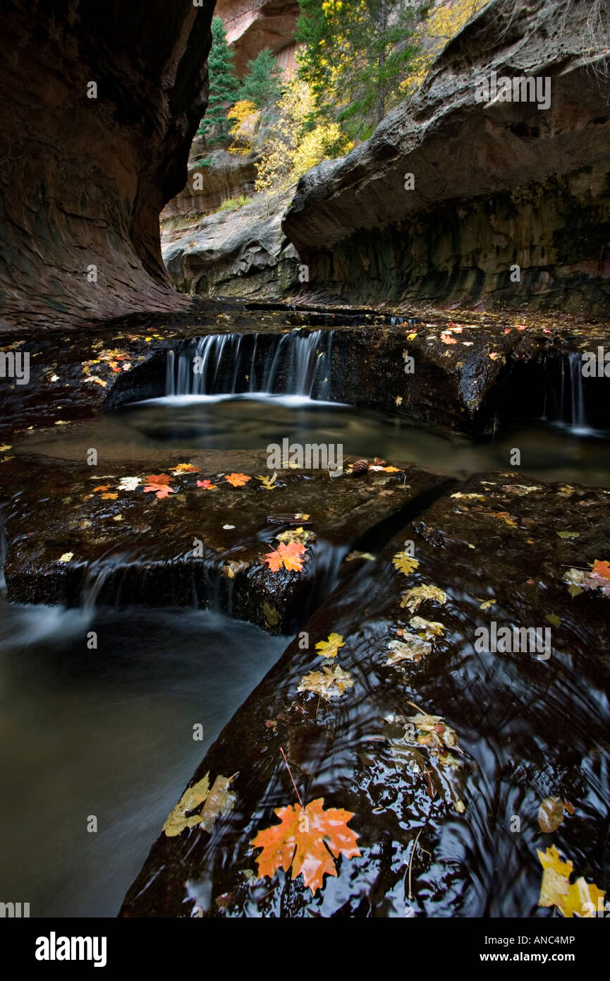 Saint george creek hi-res stock photography and images - Alamy