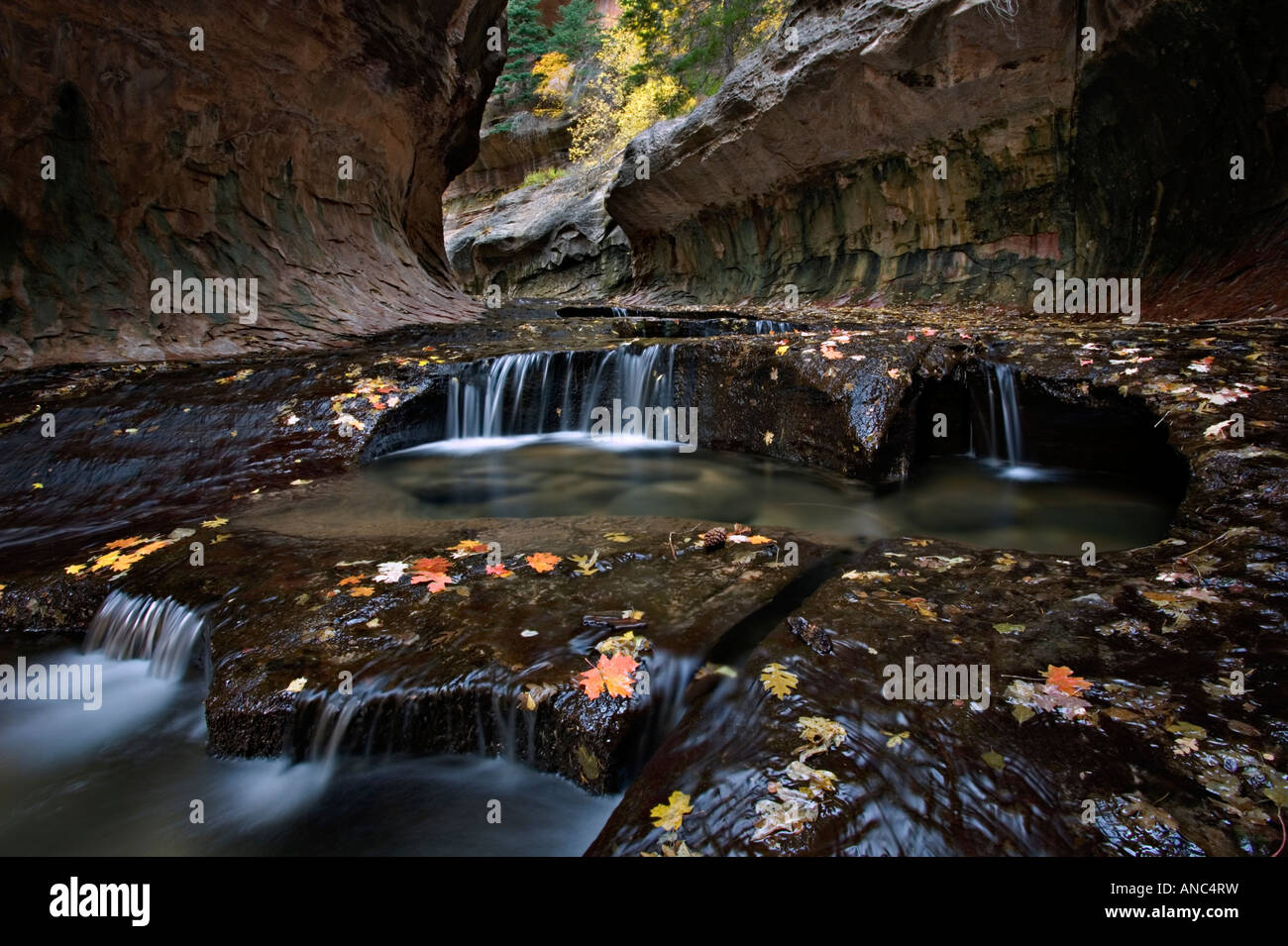 Saint george creek hi-res stock photography and images - Alamy