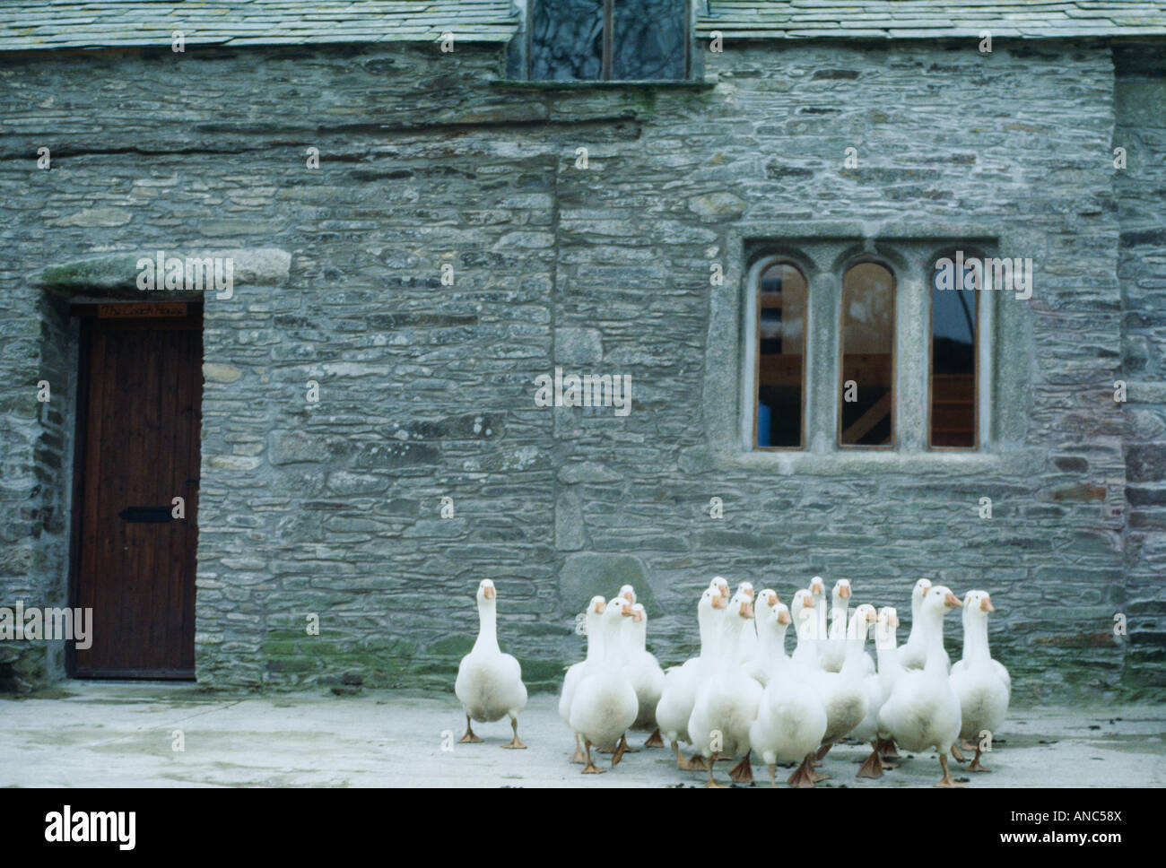 Medieval farmhouse hi-res stock photography and images - Alamy