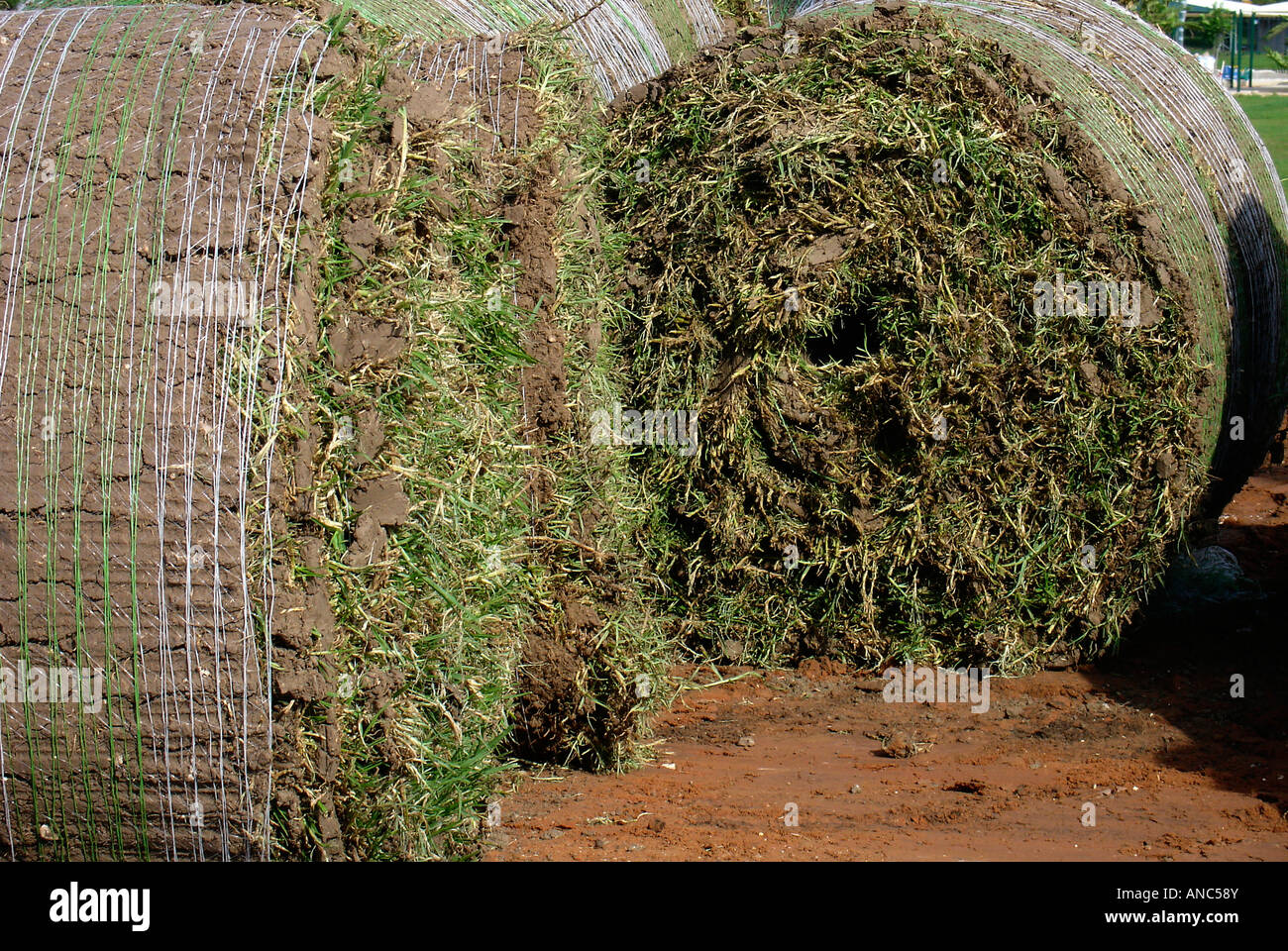 Grass turf rolled and ready for laying Stock Photo - Alamy