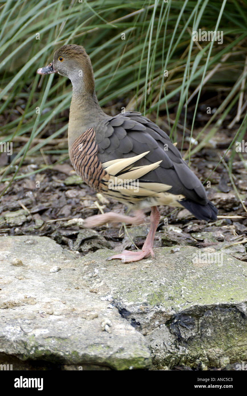 Eyton hi-res stock photography and images - Alamy