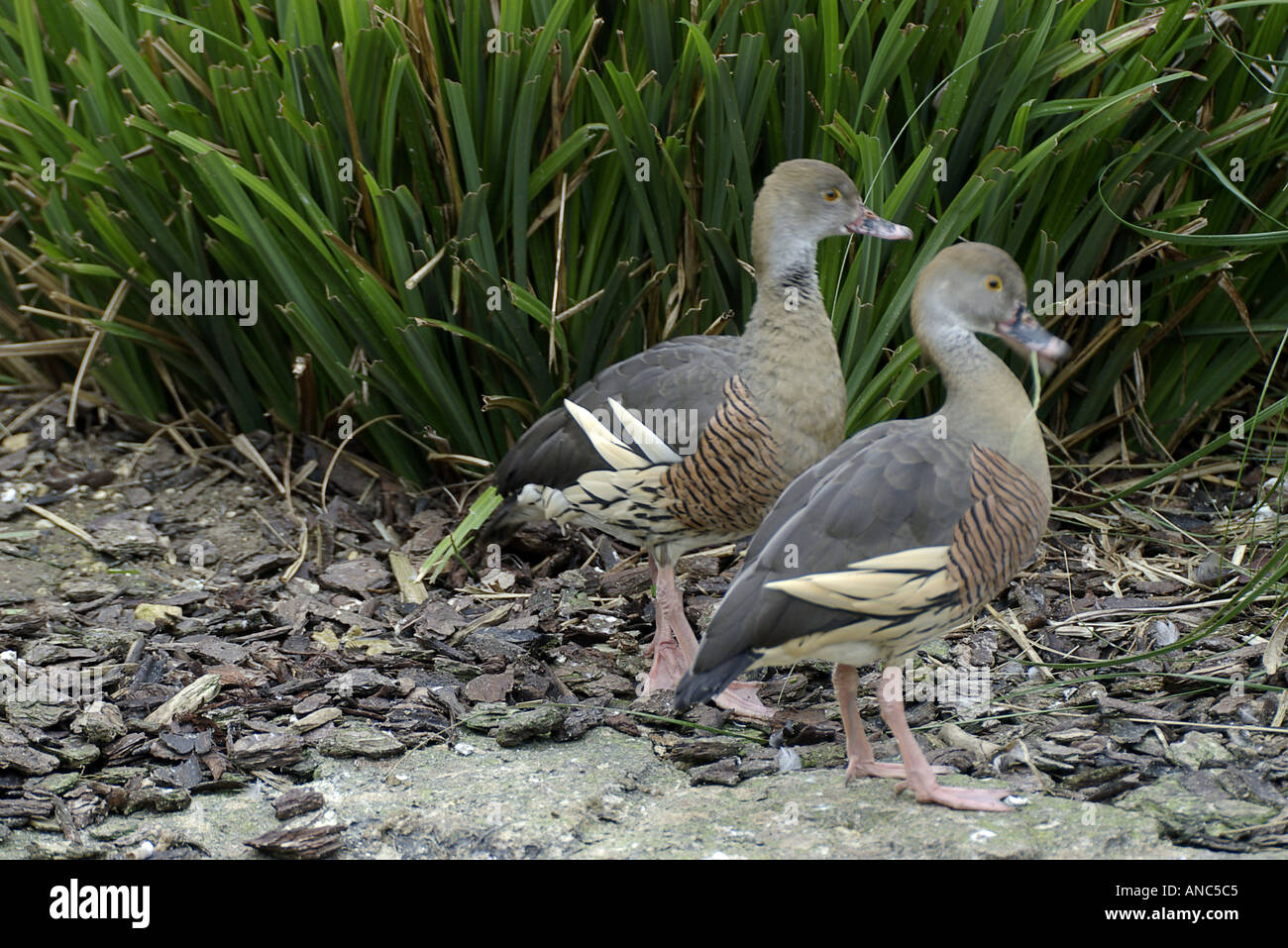 Eyton hi-res stock photography and images - Alamy