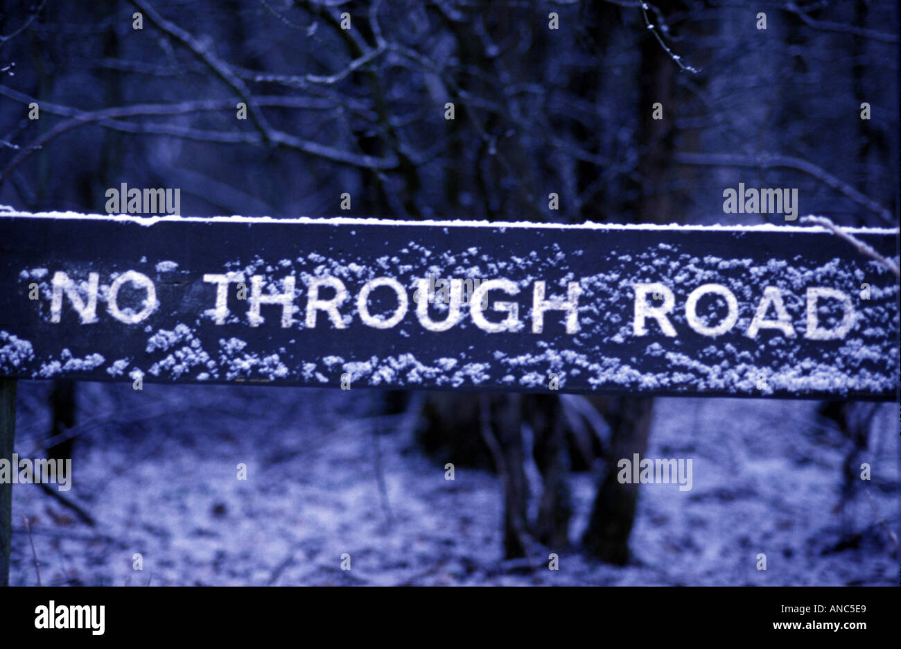 No Through Road signpost snow winter forest block path Stock Photo - Alamy