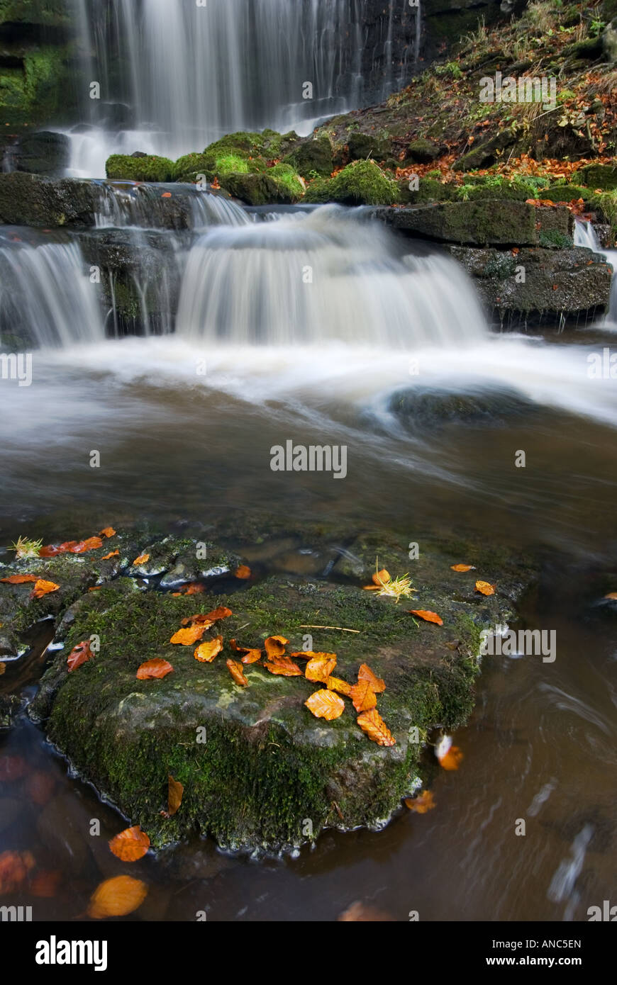 Scaleber Force waterfall above Settle in the Yorkshire Dales Stock ...