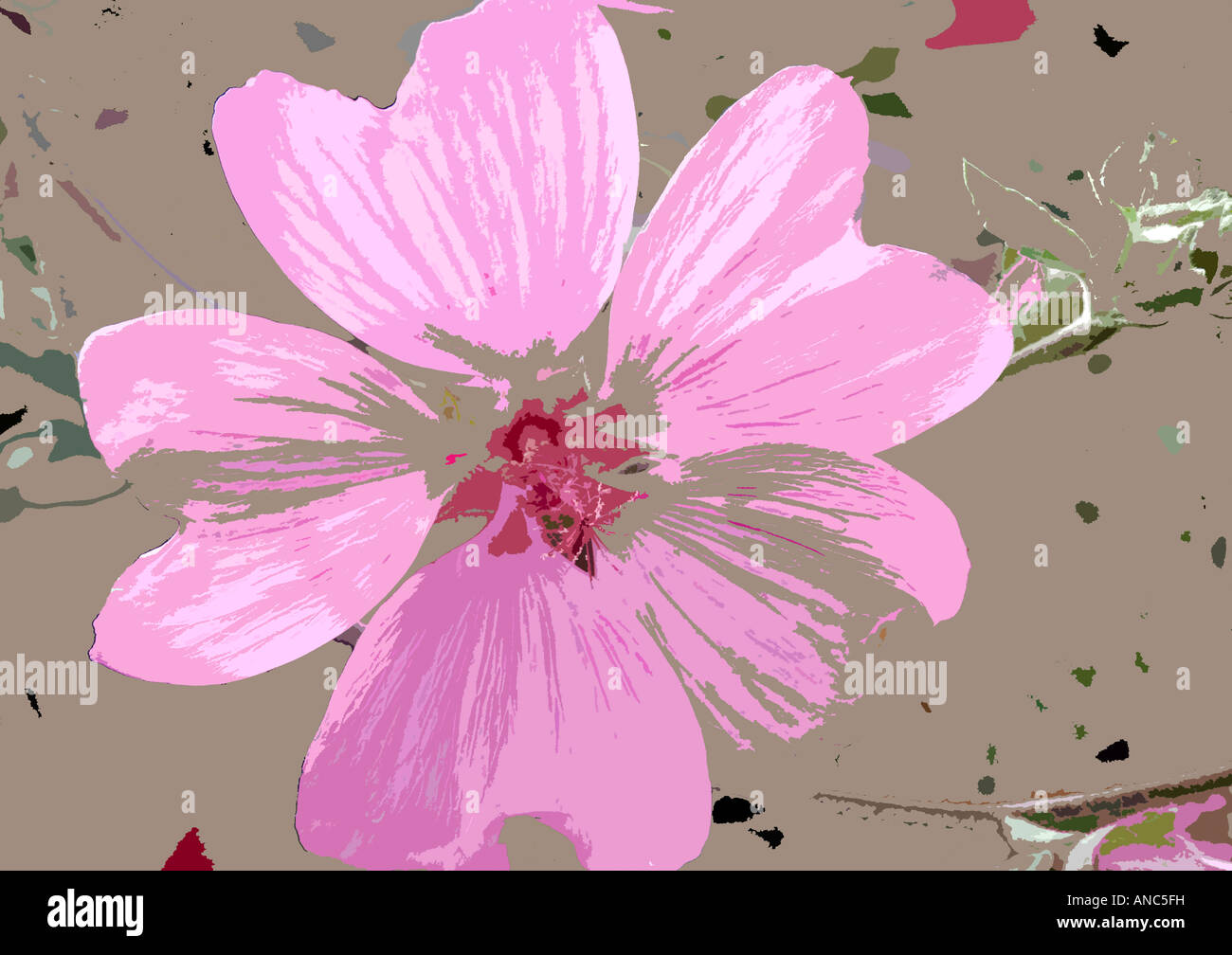 Pink flower cut out hi-res stock photography and images - Alamy