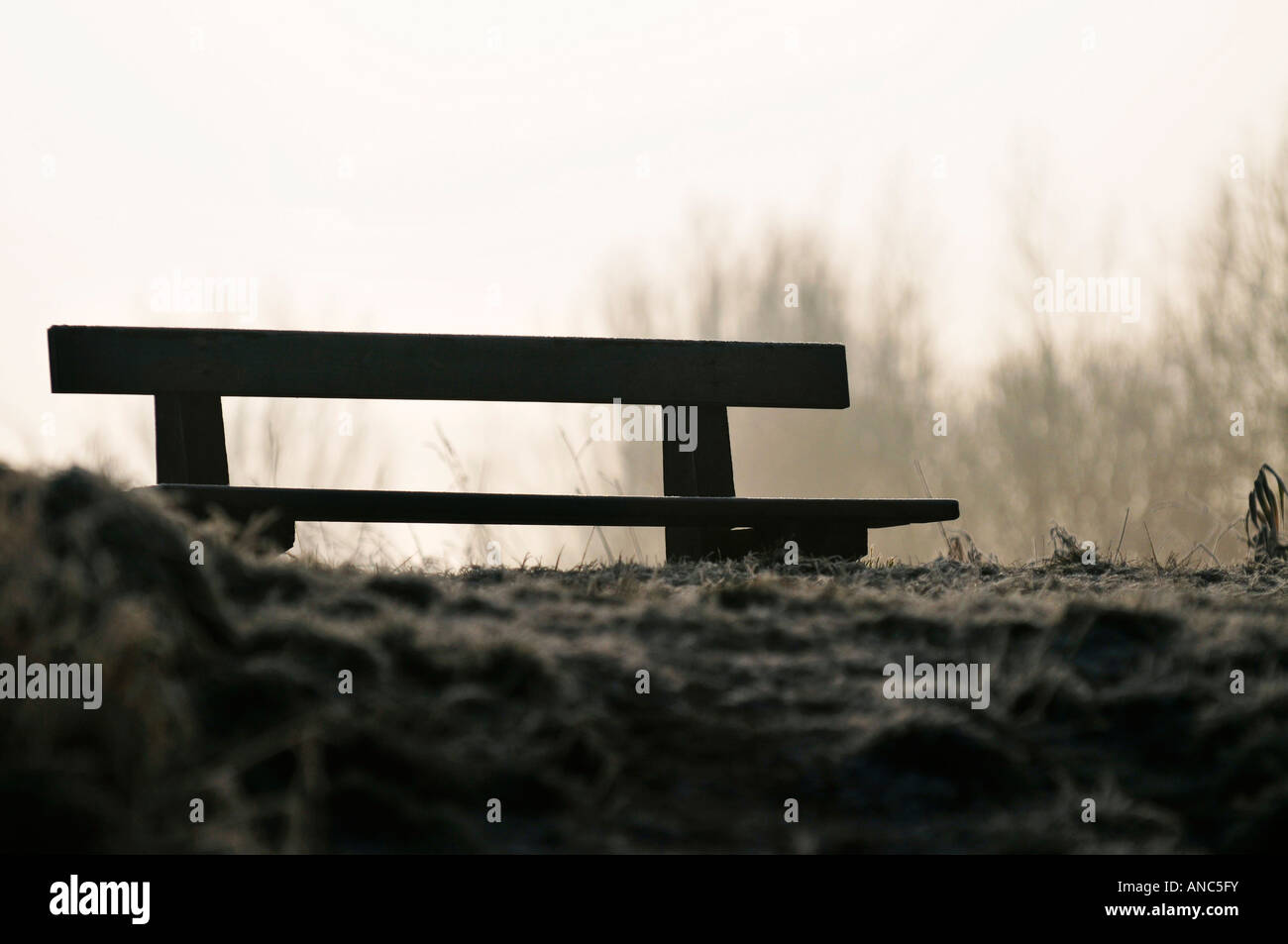 empty bench in winter Stock Photo - Alamy