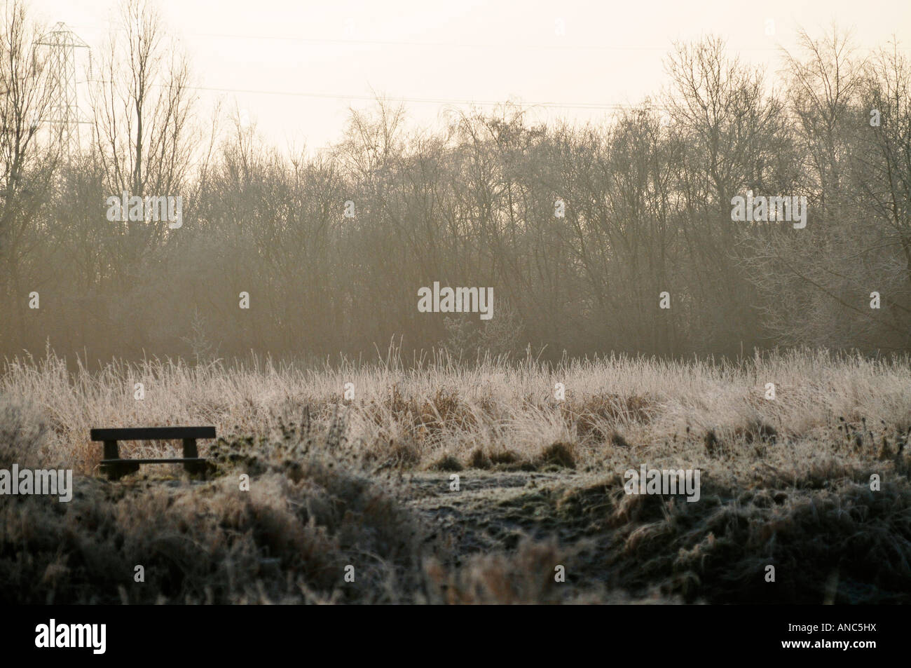 empty bench in winter Stock Photo - Alamy