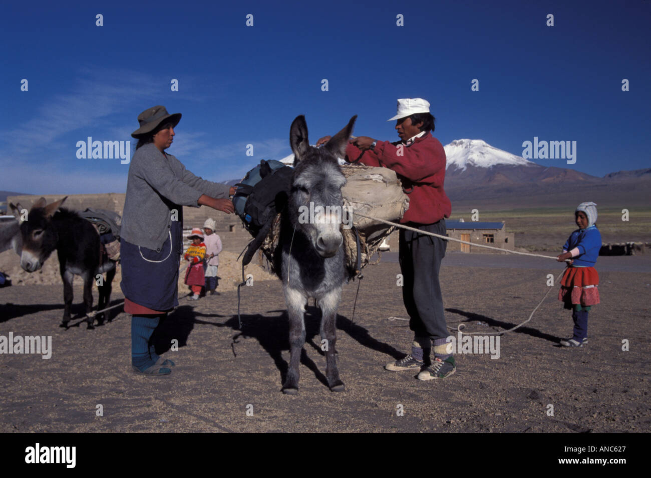 Family loading donkey at Sajama with Pomerape volcano snowcovered ...