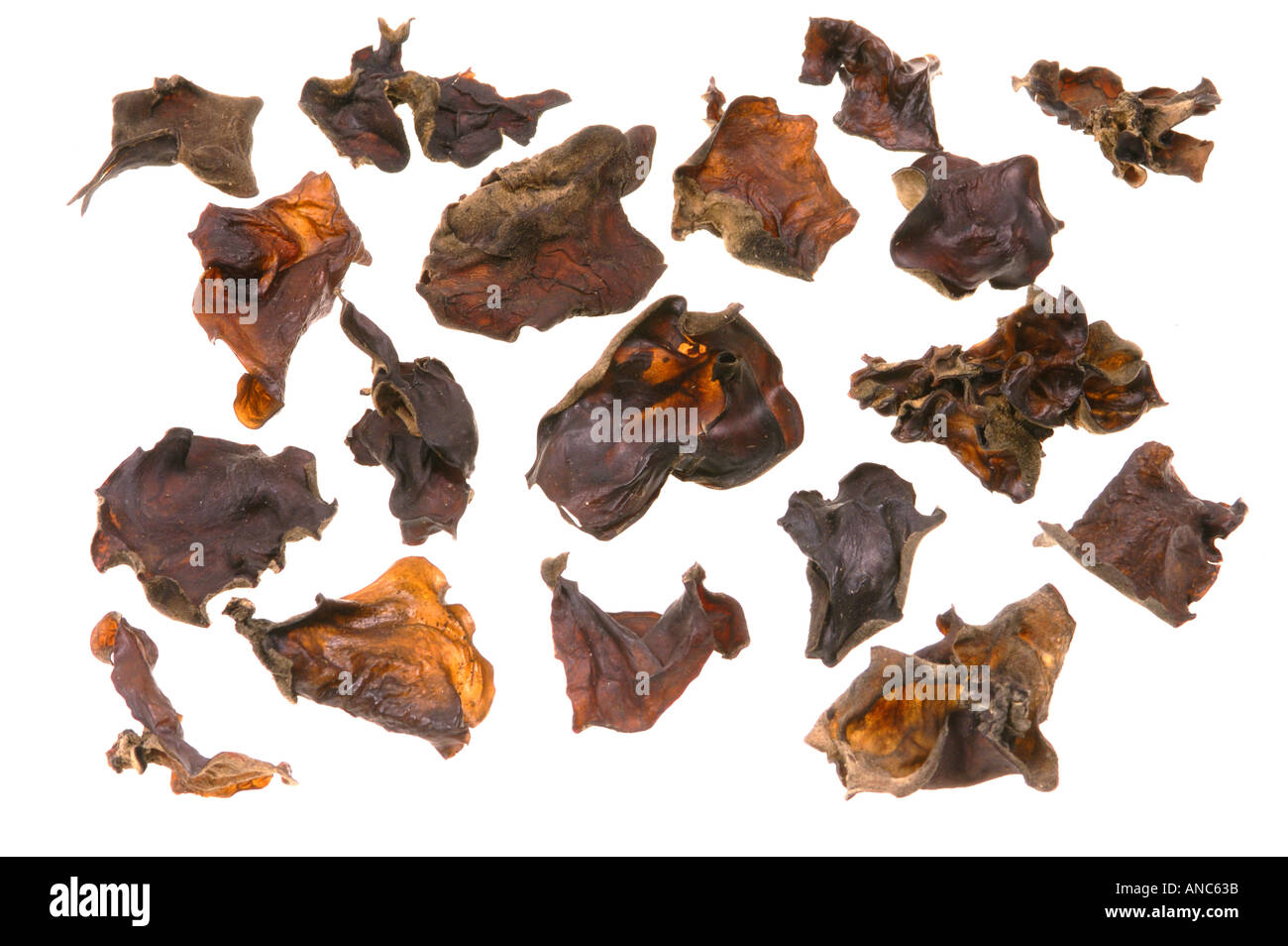 Mu err fungi hi-res stock photography and images - Alamy