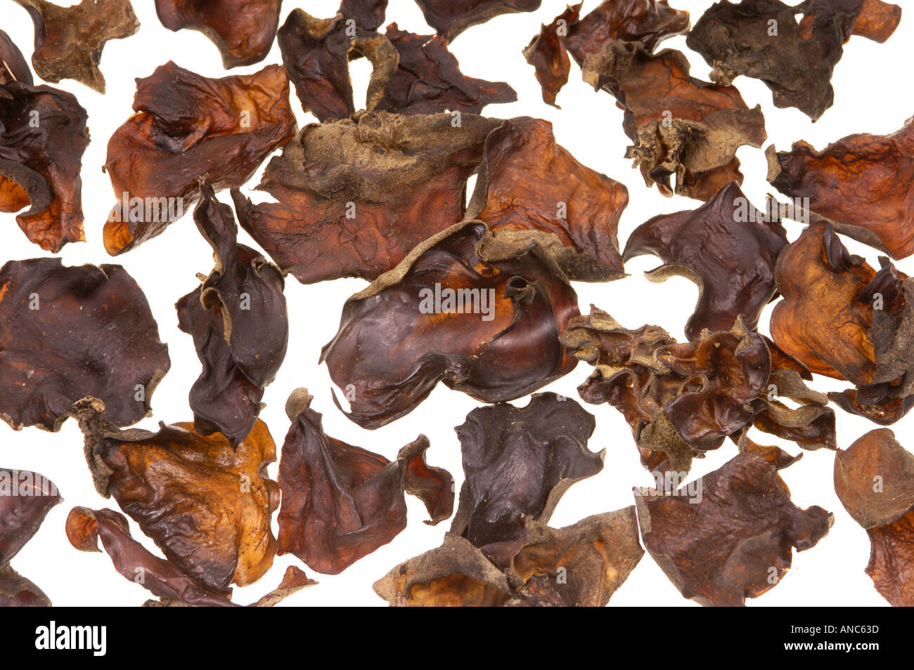 Judasohr hi-res stock photography and images - Alamy