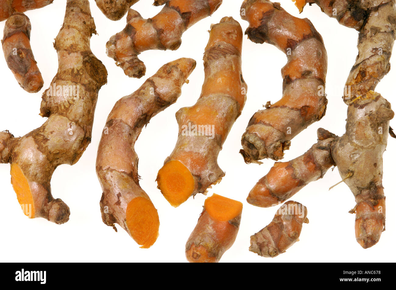 fresh CURCUMA roots asia cooking GINGER Stock Photo - Alamy