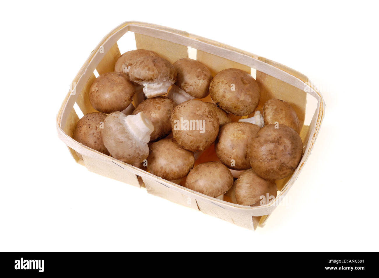 Elliptical spores hi-res stock photography and images - Alamy