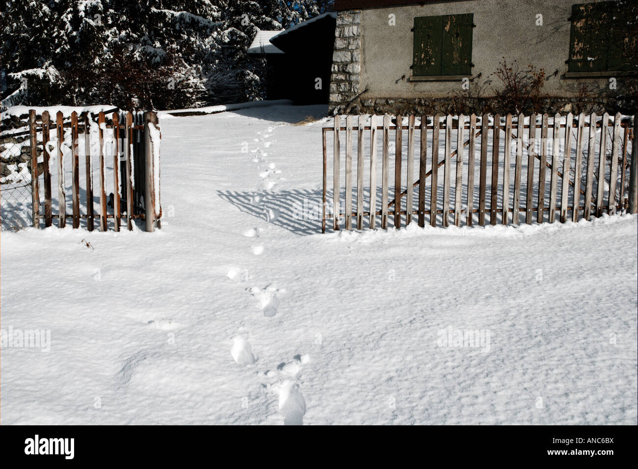 Silent footsteps hi-res stock photography and images - Alamy