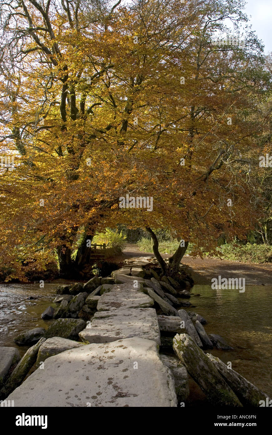 Tarr Steps clapper bridge across the River Barle on Exmoor Stock Photo ...