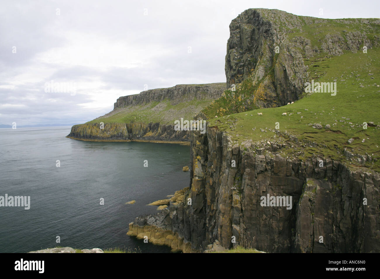Neist Point sea cliffs on the Waternish Peninsula on the Isle of Skye ... Neist Point sea cliffs on the Waternish Peninsula on the Isle of Skye ...