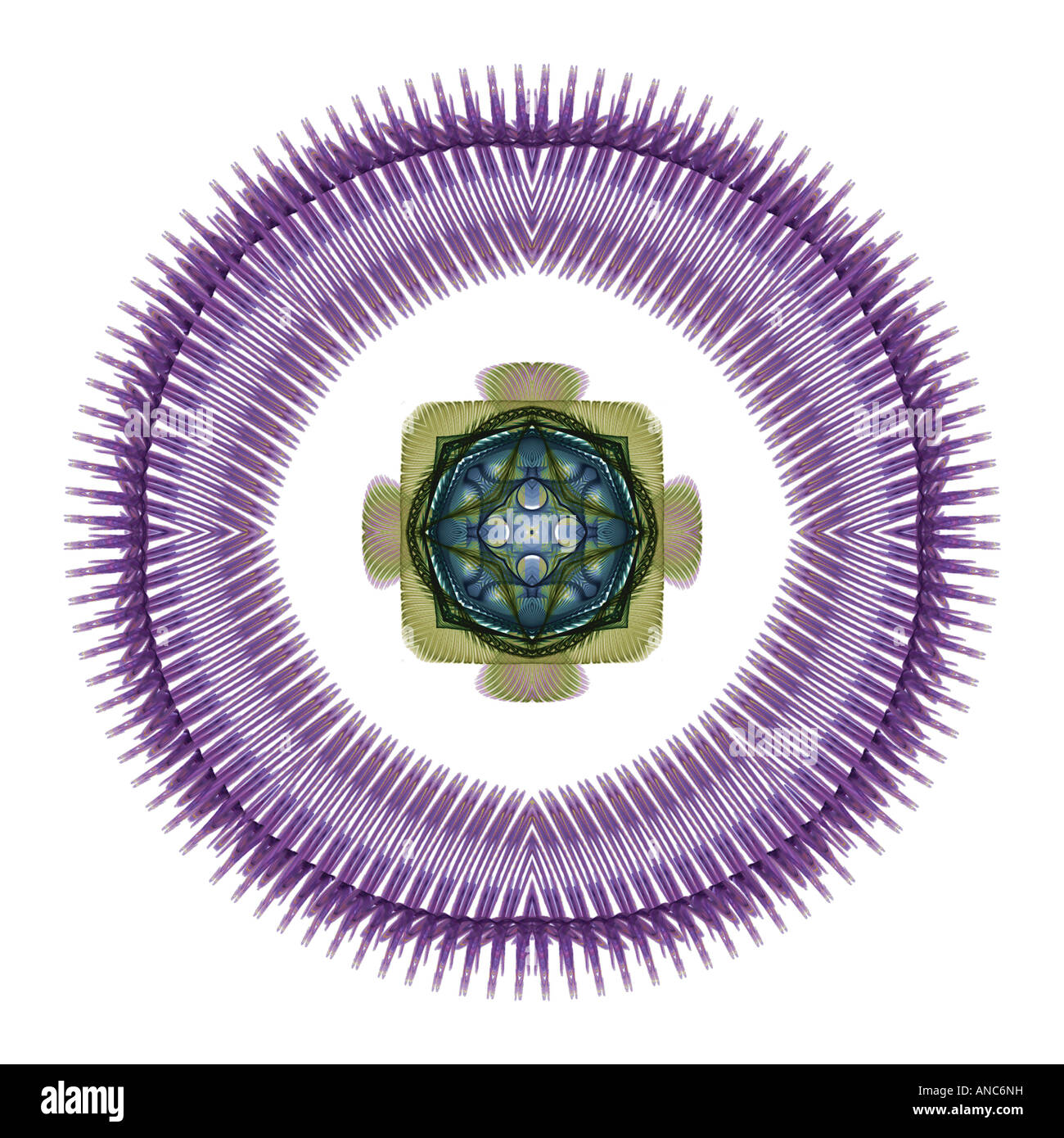 3d feathers hi-res stock photography and images - Alamy