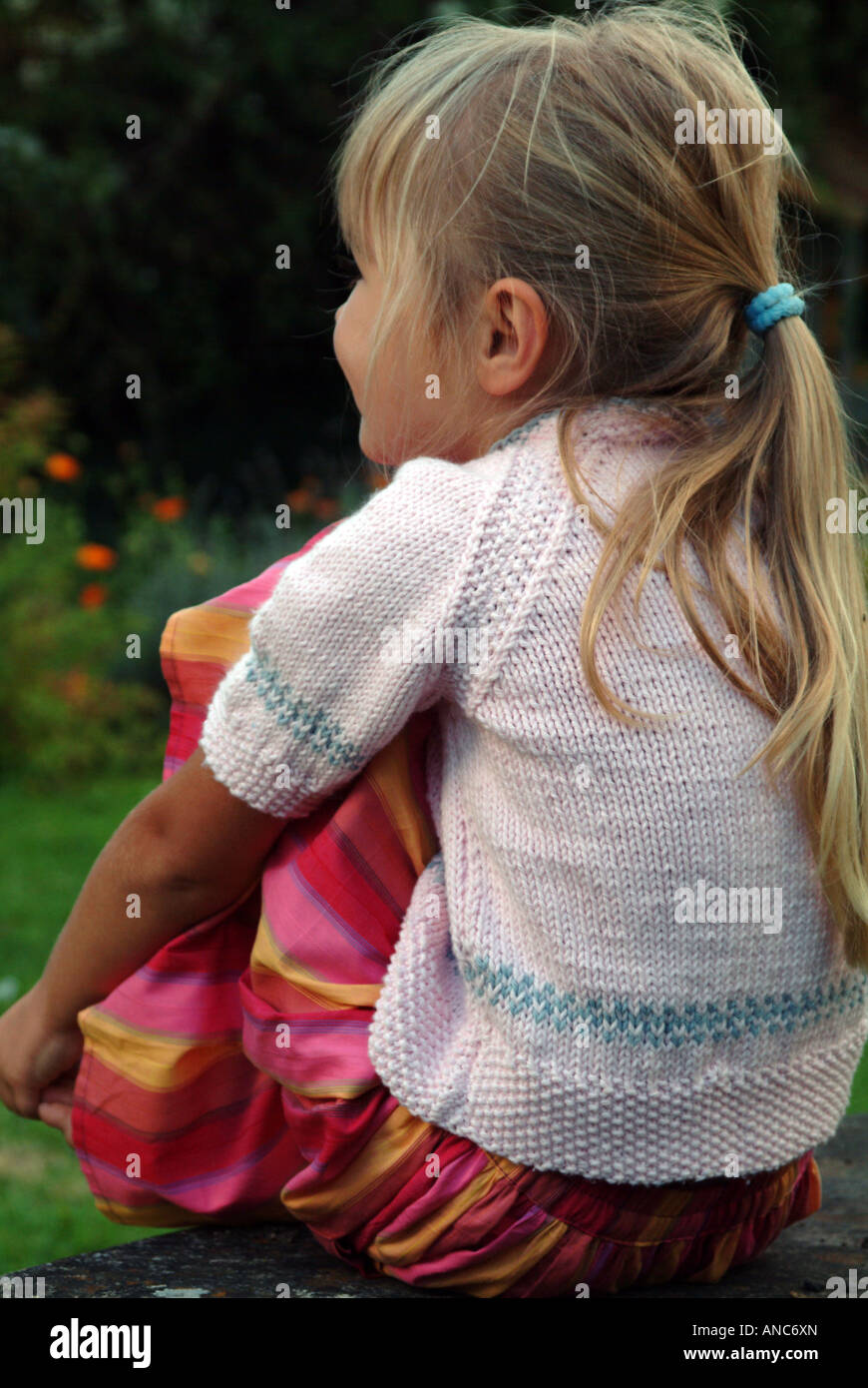Back view of a little girl with a ponytail Stock Photo - Alamy
