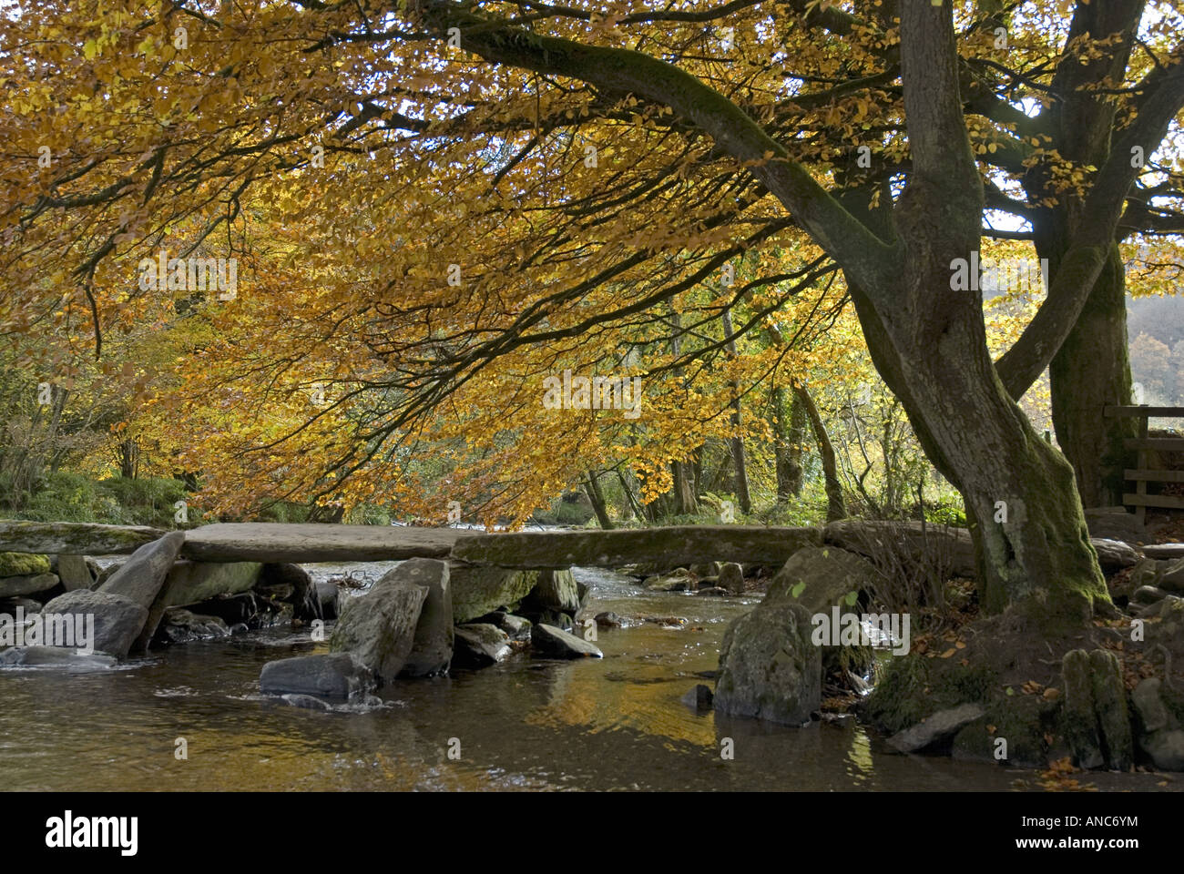 Tarr Steps clapper bridge across the River Barle on Exmoor Stock Photo ...