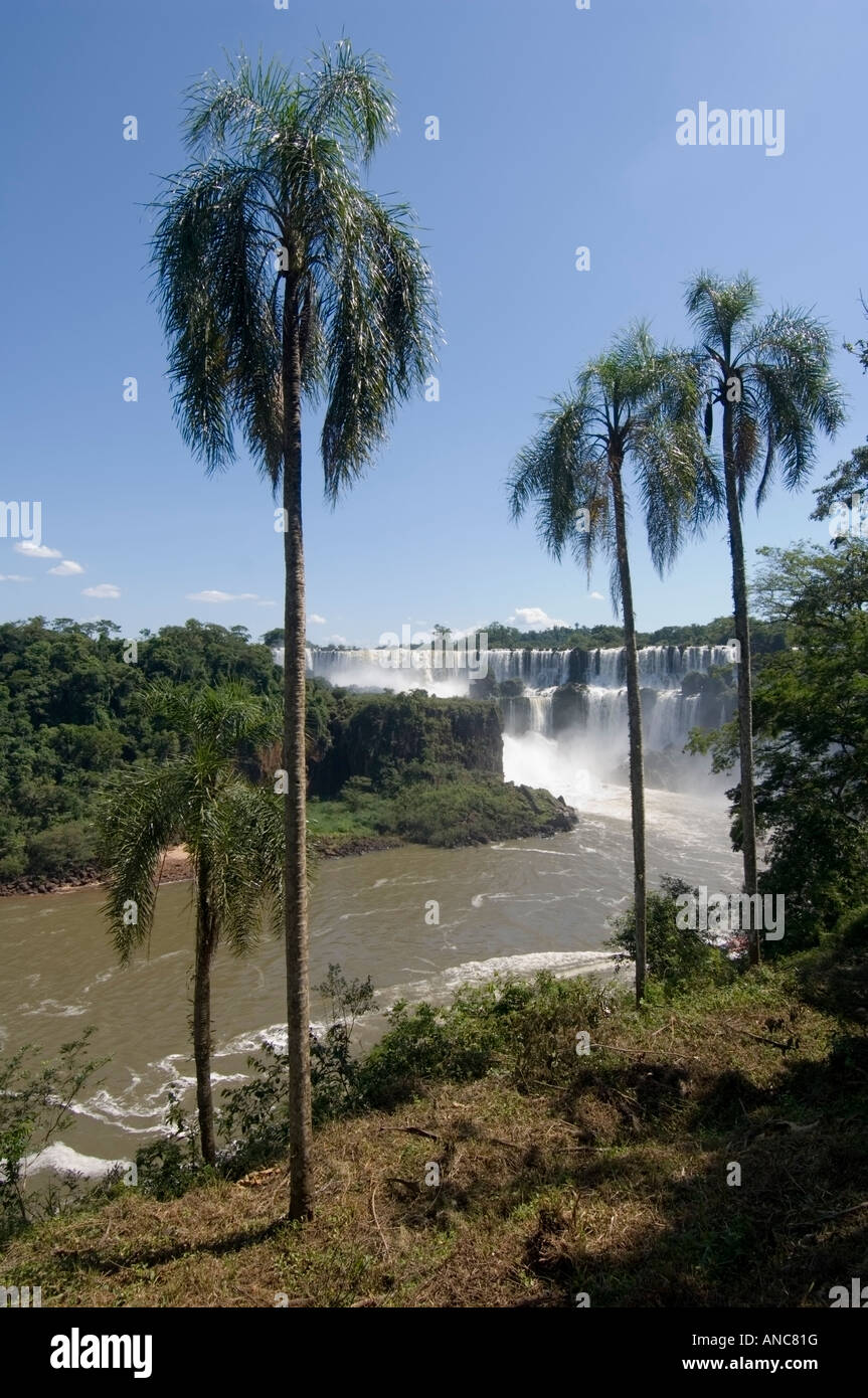 Iguacu National Park Parana Brazil Stock Photo - Alamy