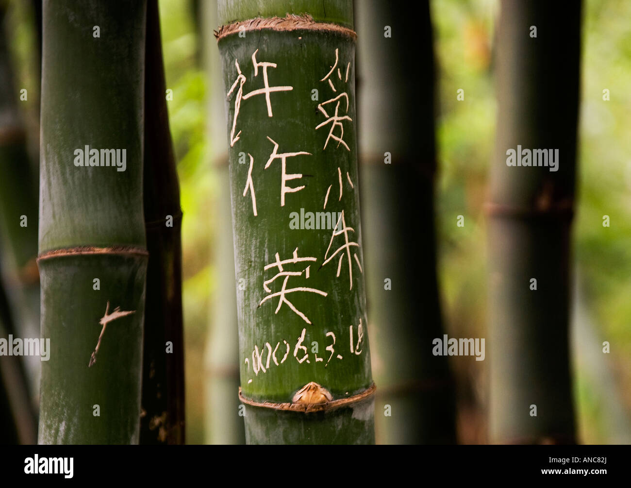 Chinese Bamboo Carving Stock Photo - Alamy
