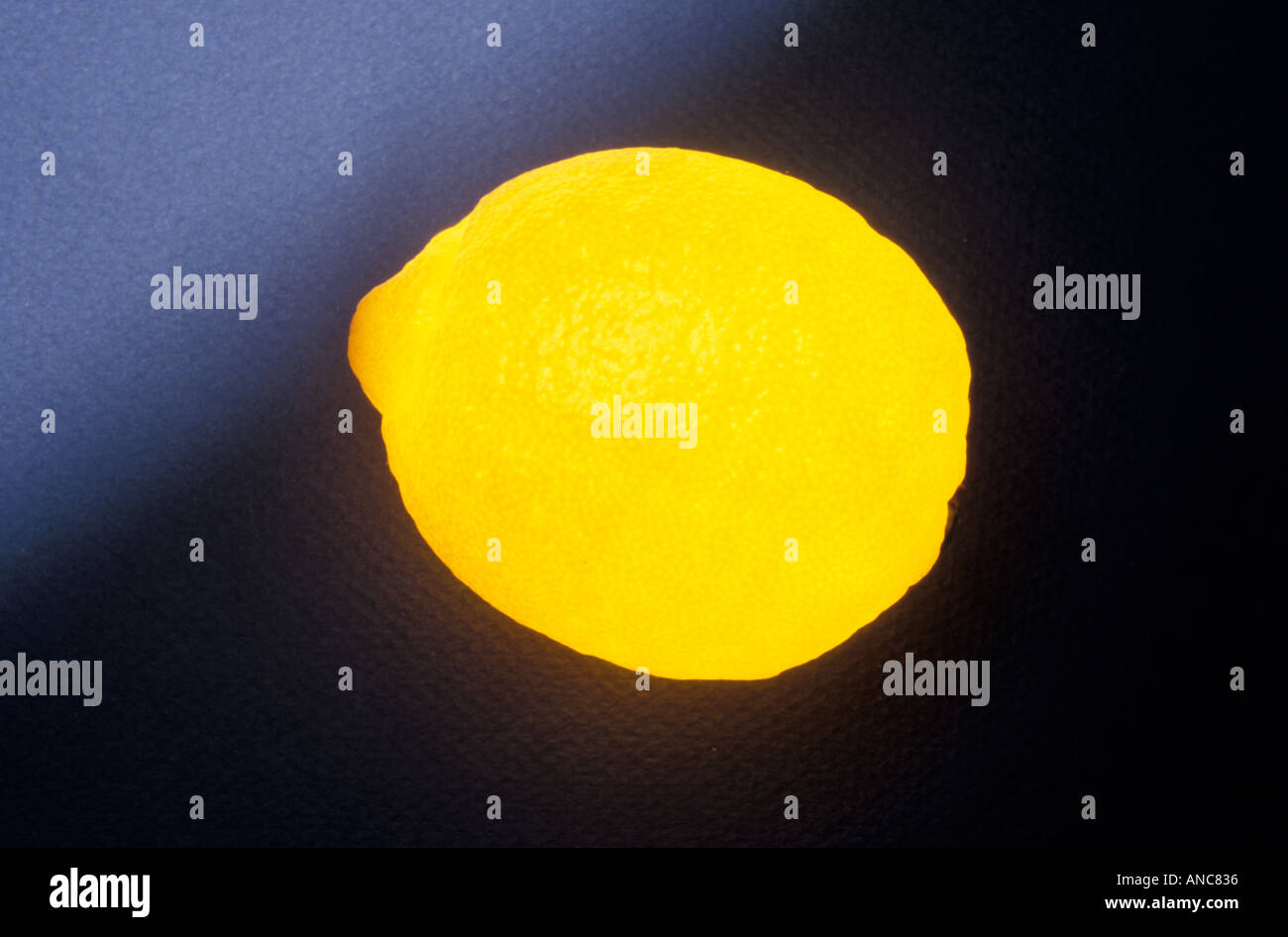 lemon studio interior inside Stock Photo - Alamy