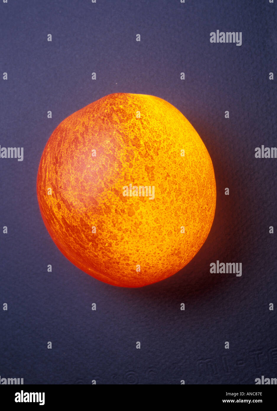 nectarine studio interior inside Stock Photo - Alamy