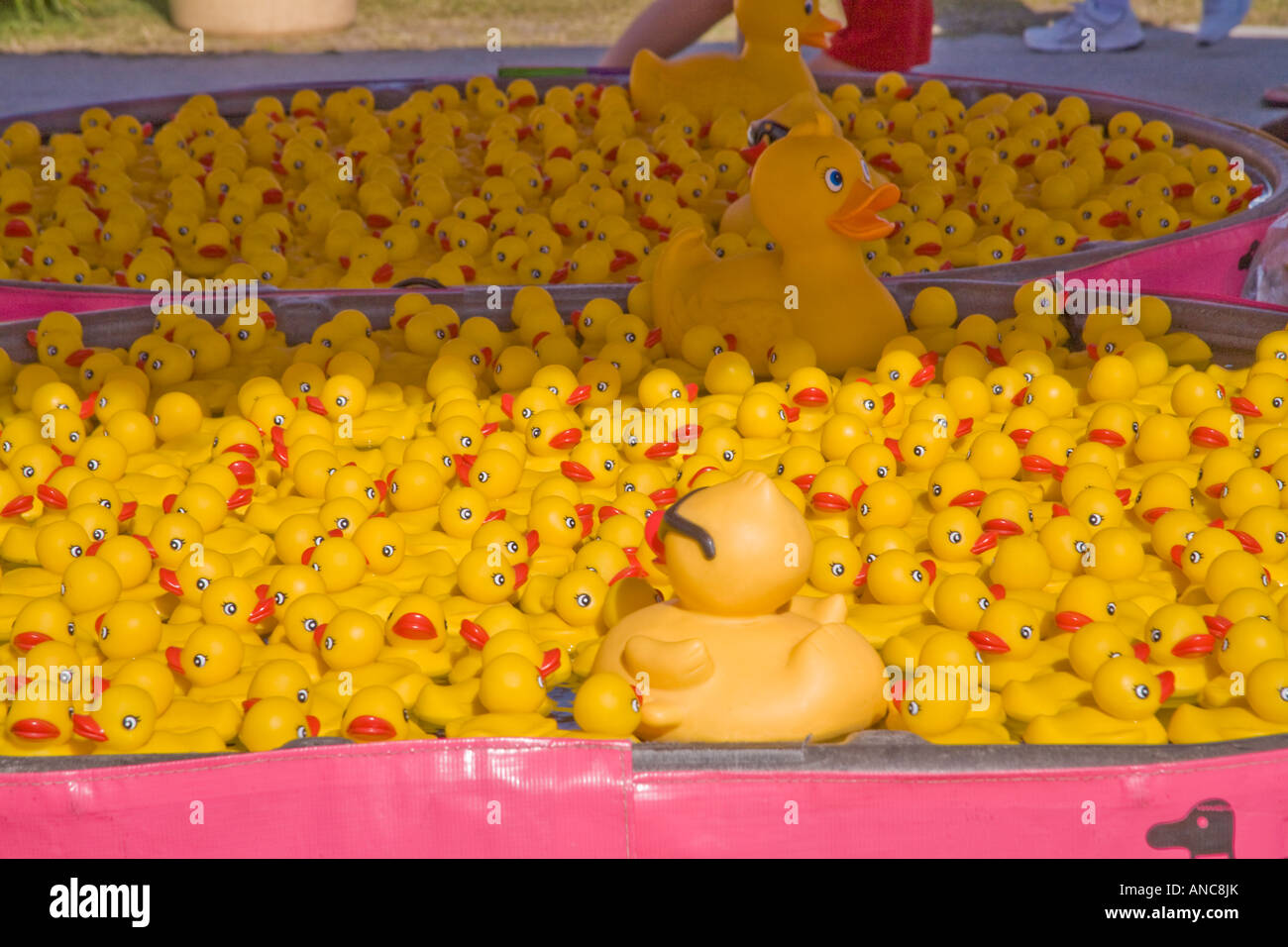 Fairground ducks game Stock Photo - Alamy