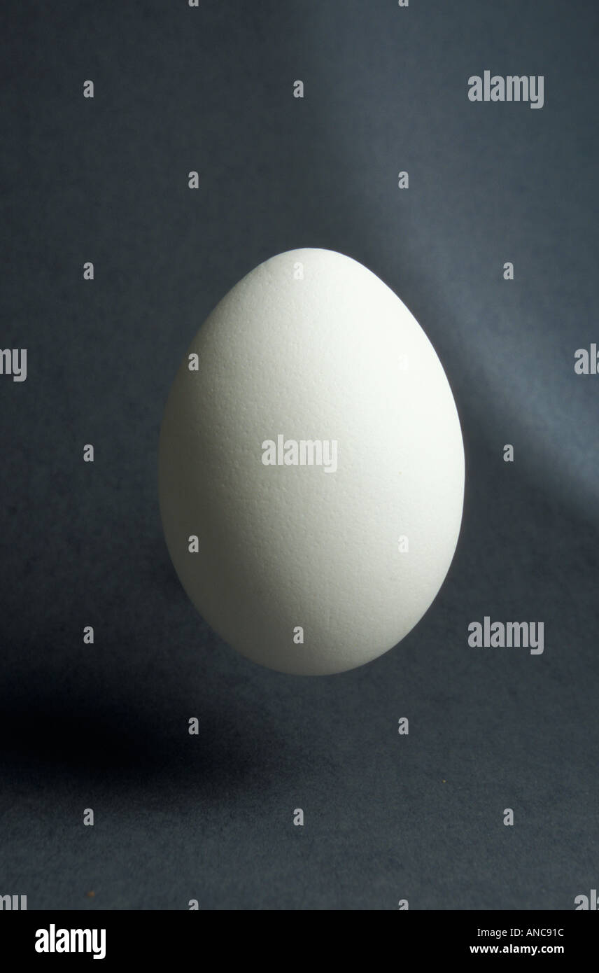 hen s egg Stock Photo - Alamy