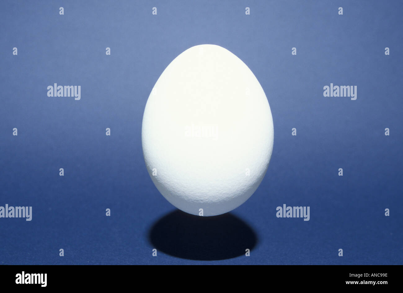 hen s egg Stock Photo - Alamy
