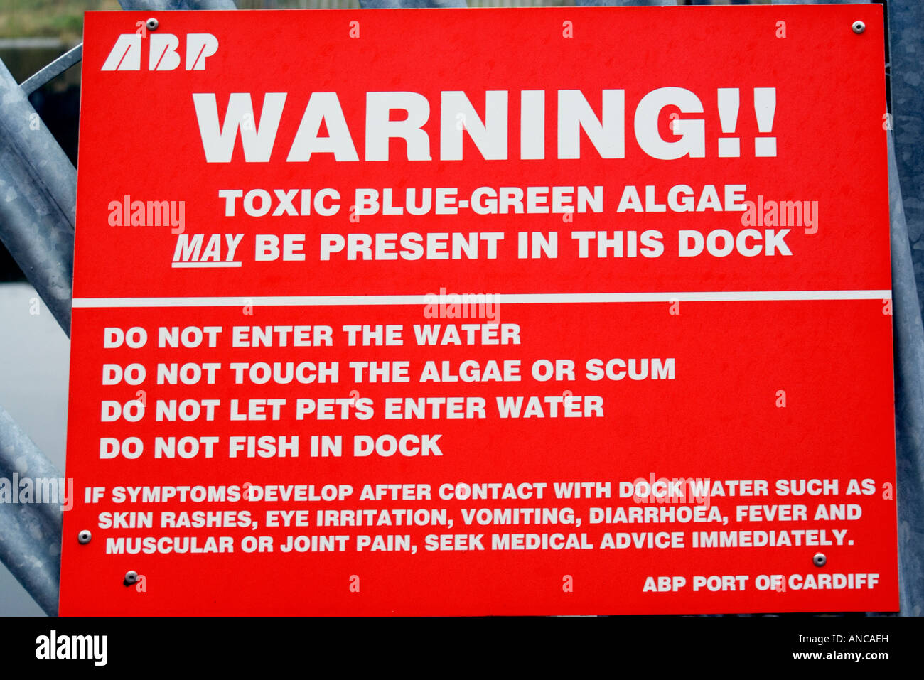 warning sign for the dangers of blue green algae cardiff bay Stock ...